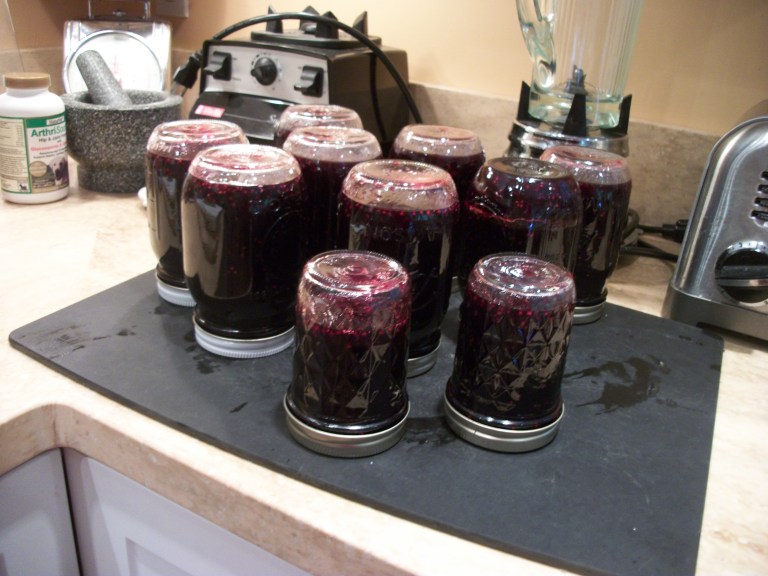 Turkey Tracks: Blackberry Jam – Louisa Enright's Blog