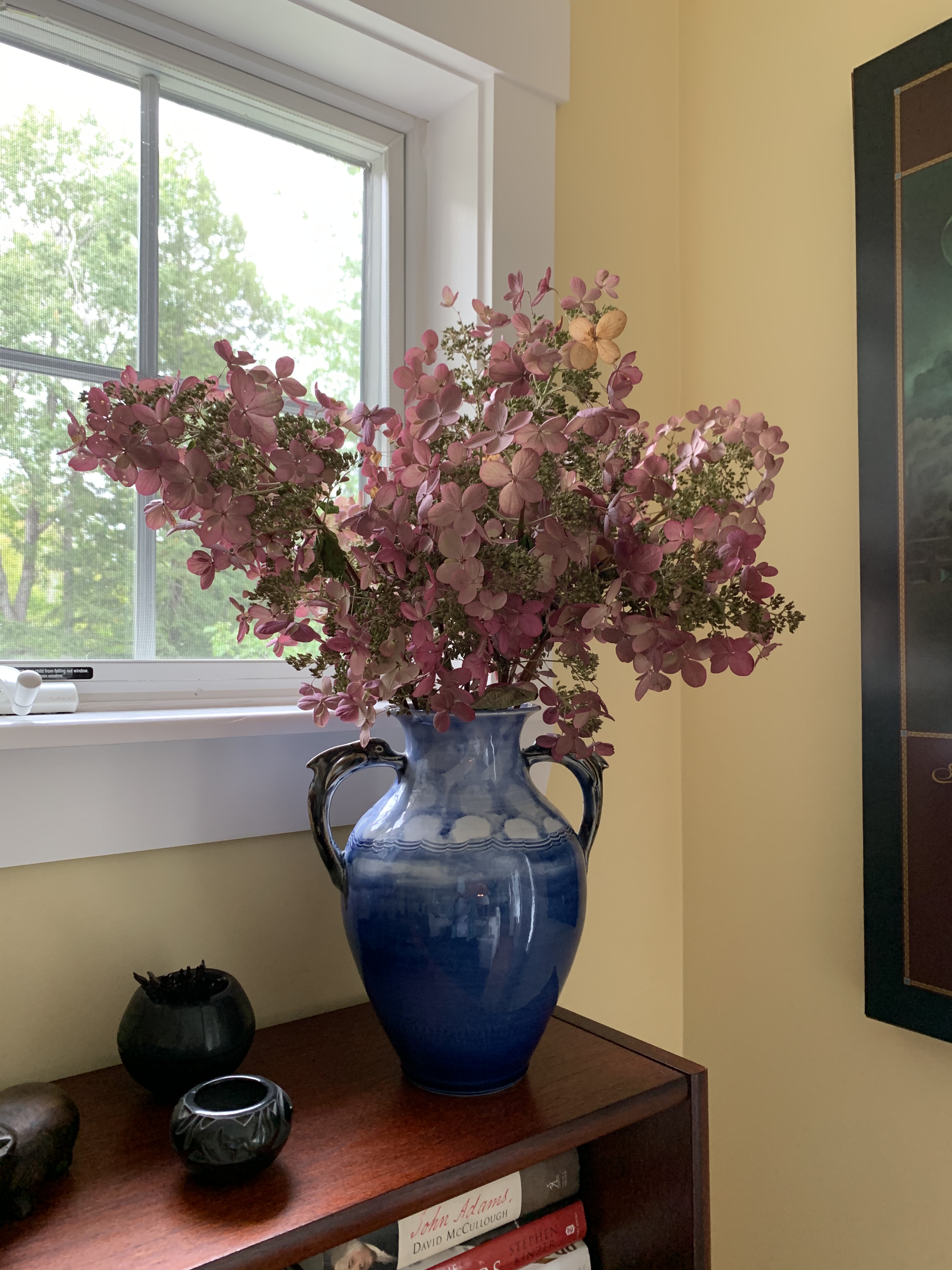 The Pee Gee Hydrangea Flowers – Louisa Enright's Blog